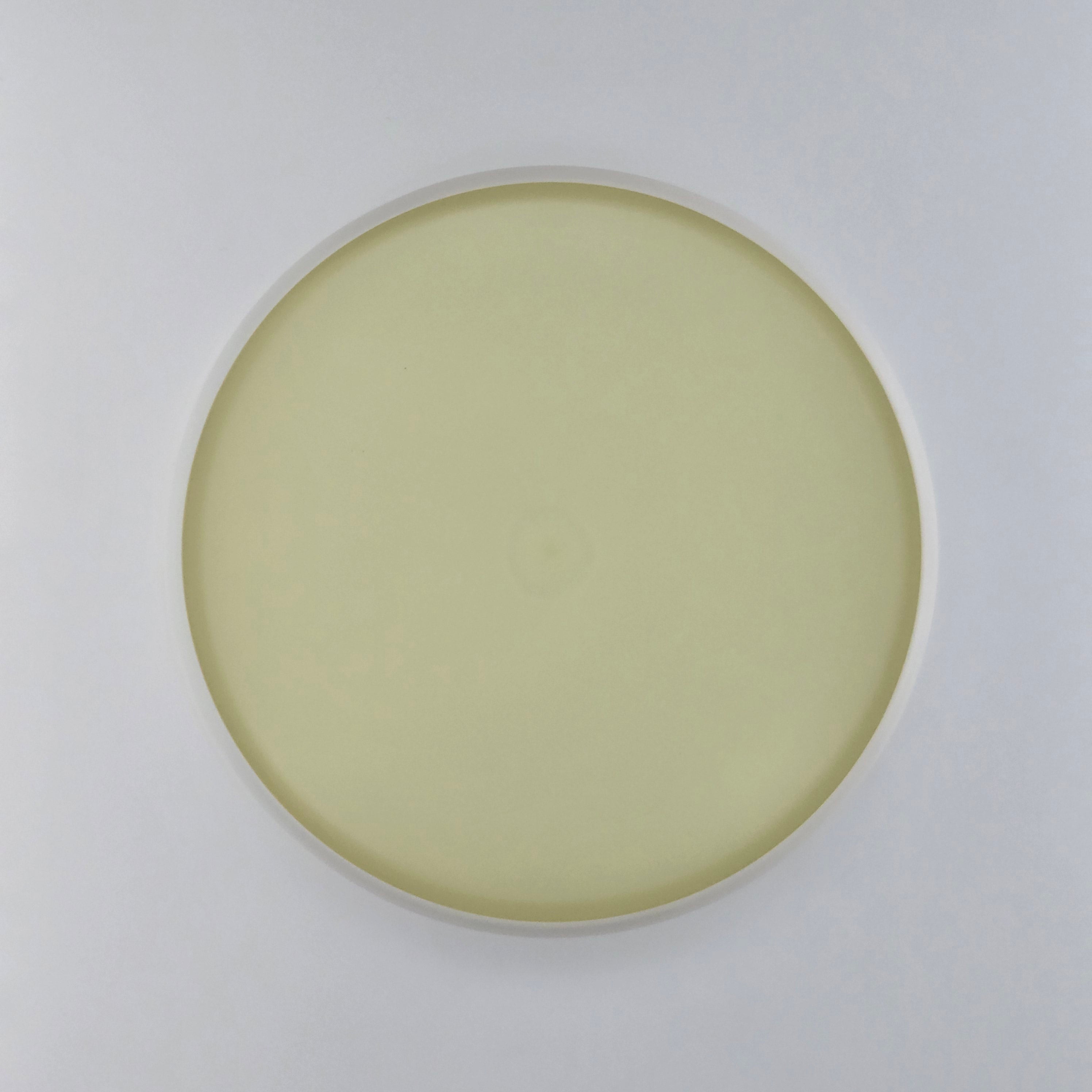 Blank Eclipse 2.0 Watt – Treemagnets Disc Golf