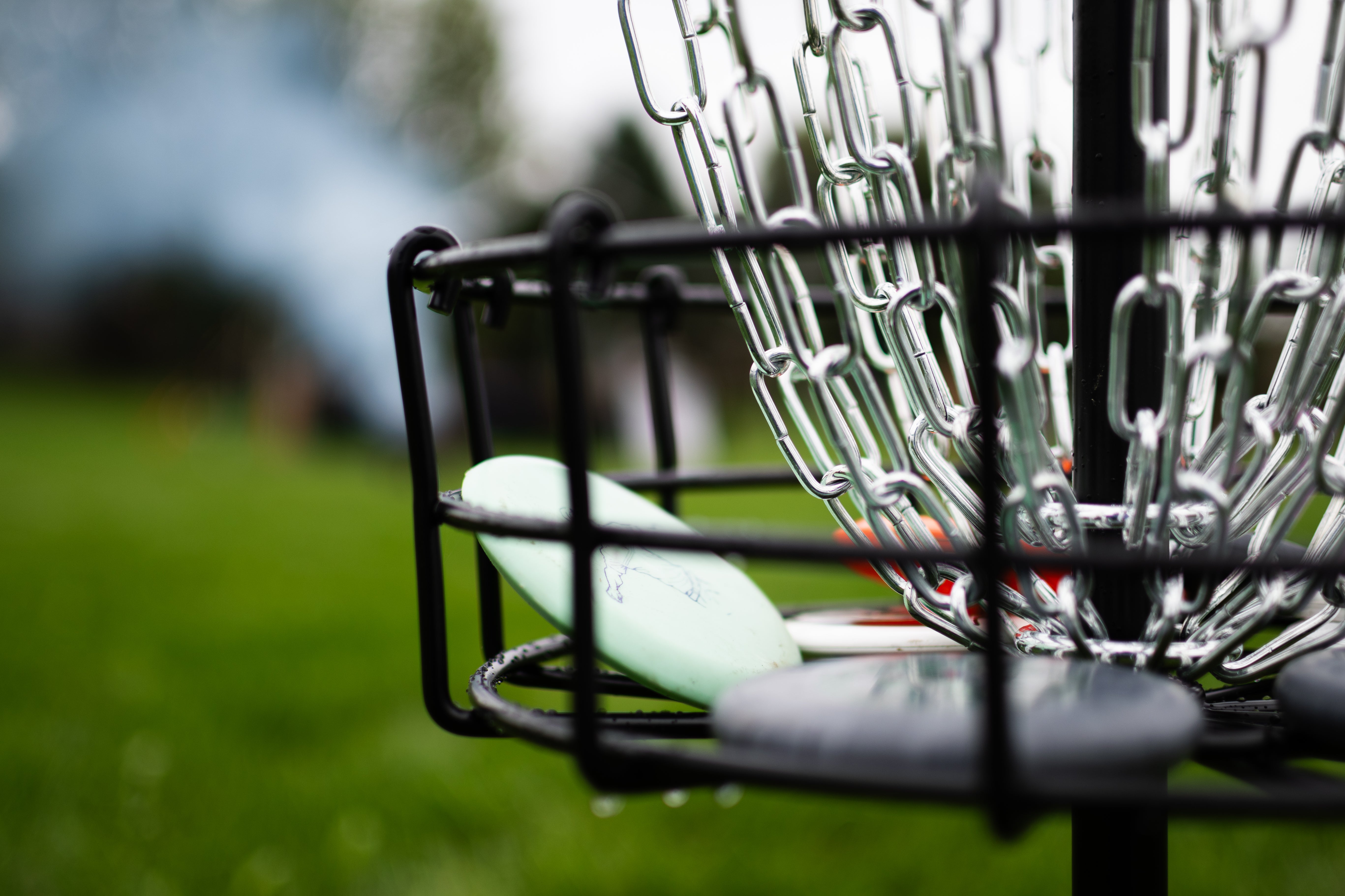 Treemagnets Disc Golf Supply