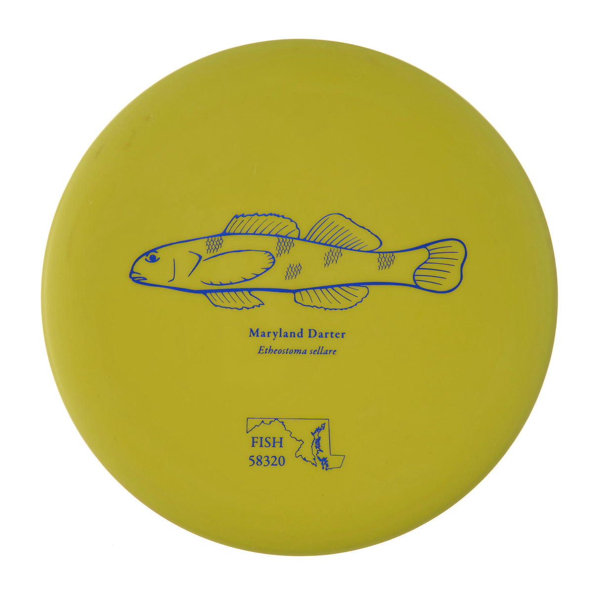 Discraft Challenger - 2023 Andrew Fish Team Series Putter Line 174g ...