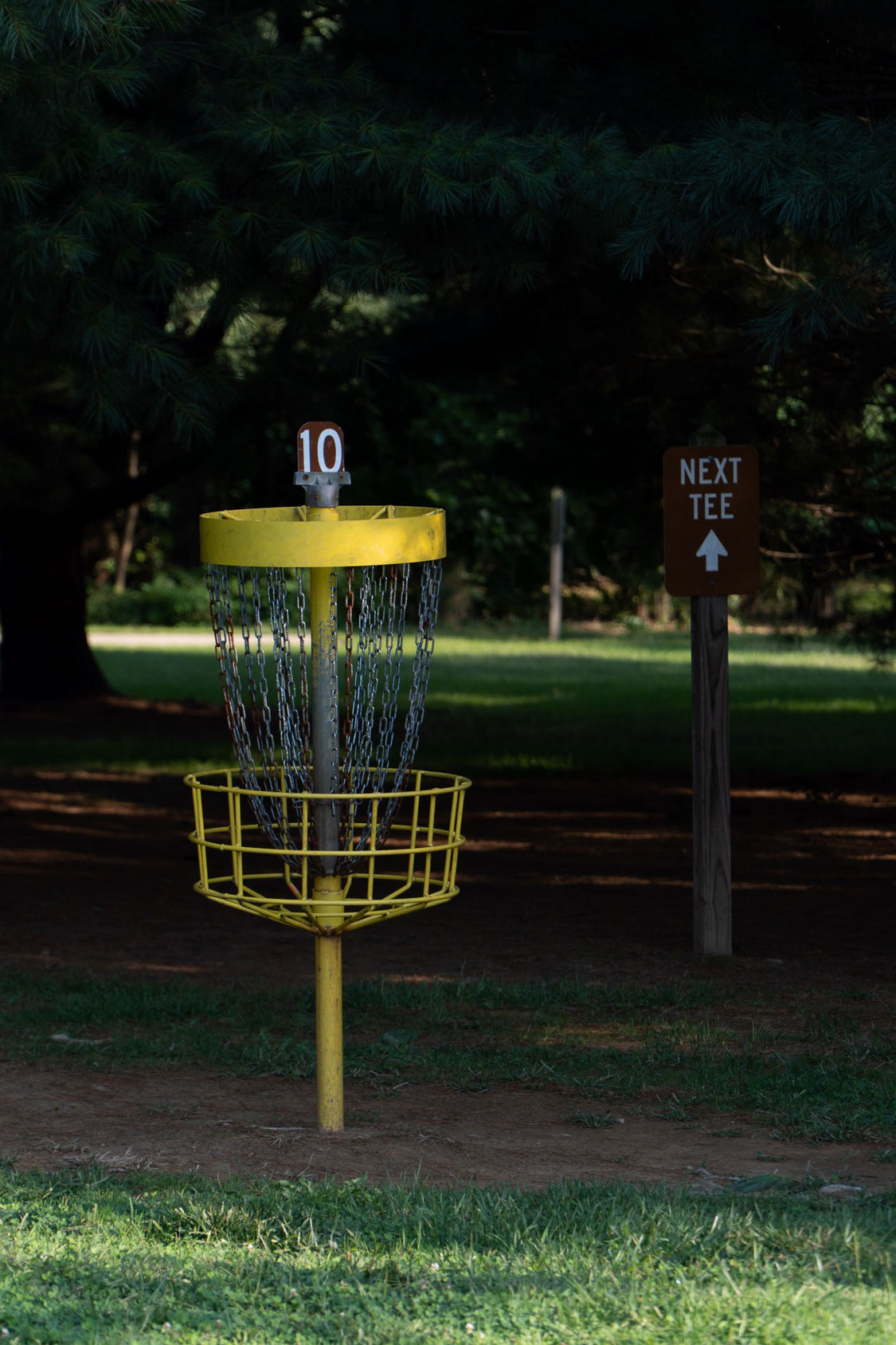 Treemagnets Disc Golf Supply