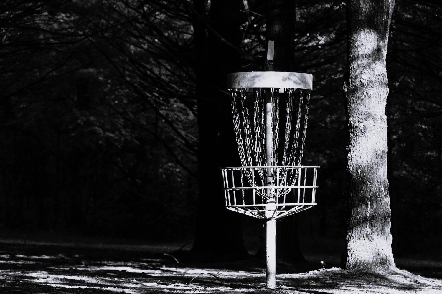 Treemagnets Disc Golf Supply