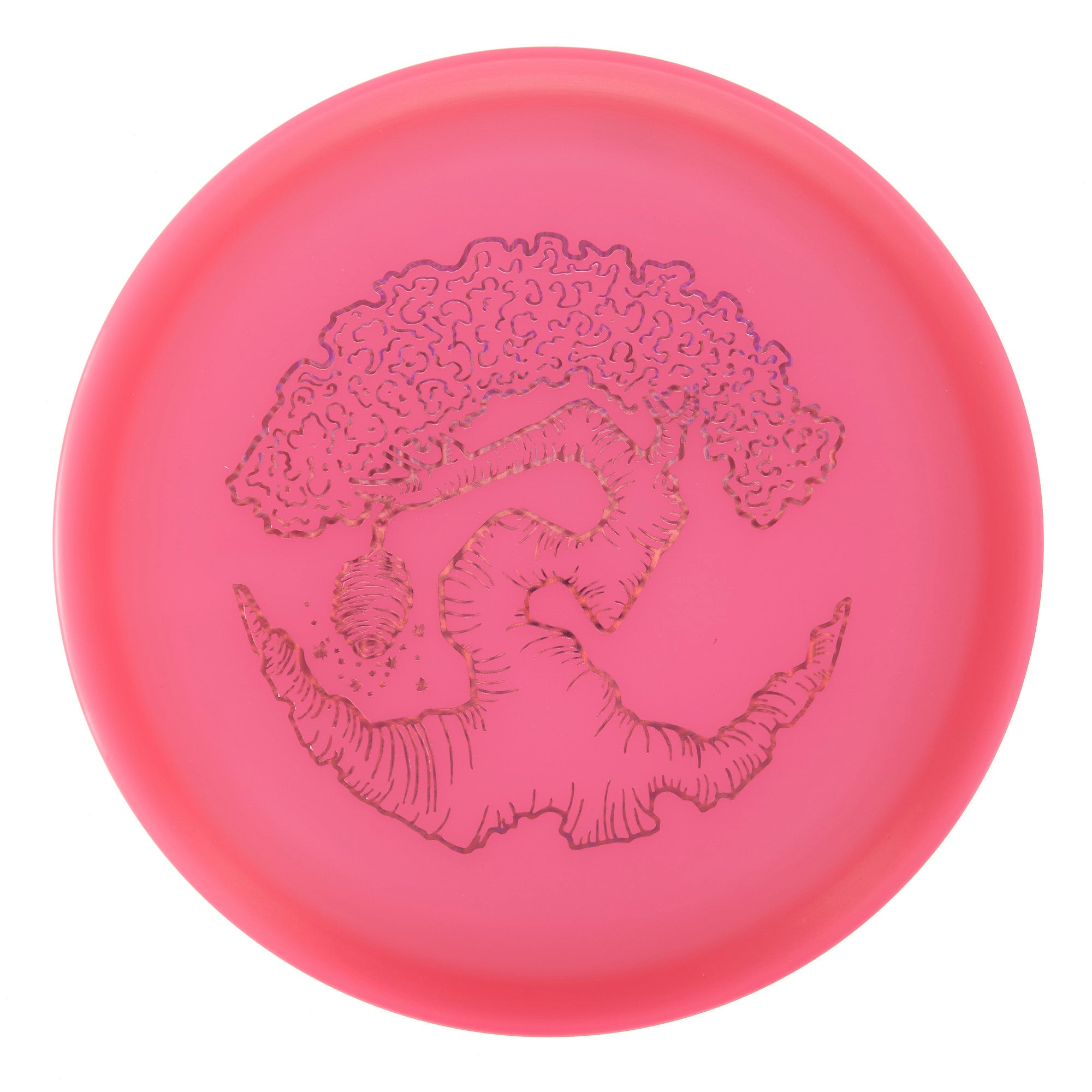 Faylor Lake Special Edition Glo Z FLX Swarm – Treemagnets