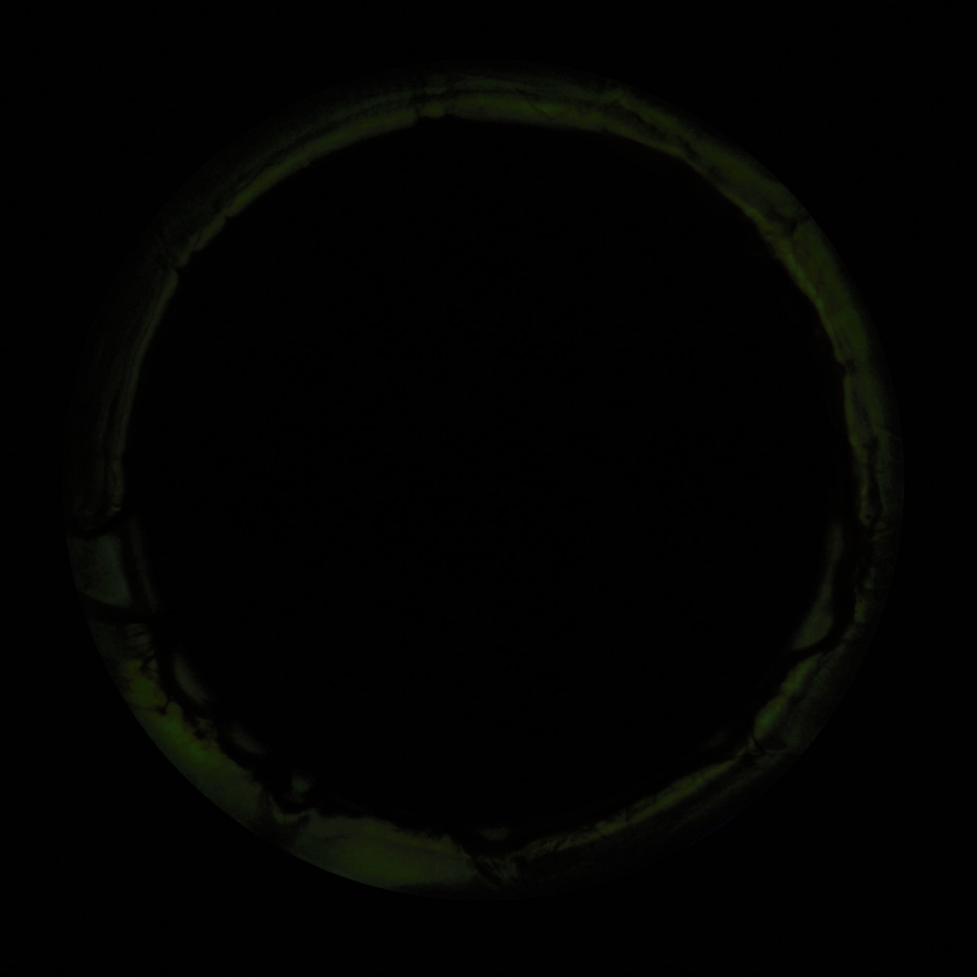 Niklas Anttila Signature Series Nordic Phenom 4 Horizon S-Line Glow DD ...